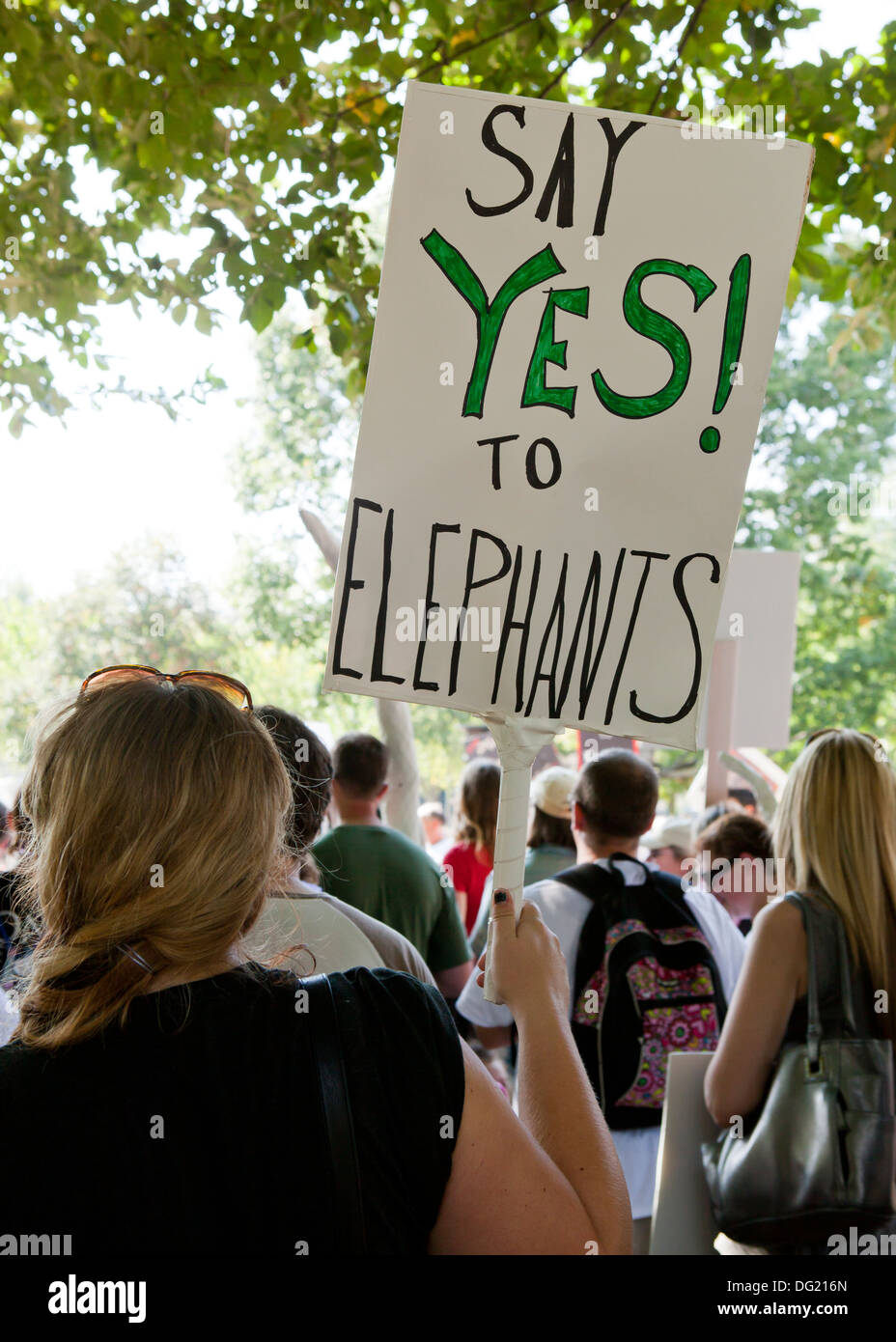 Elephant March demonstrator holding up sign protesting against poaching ...