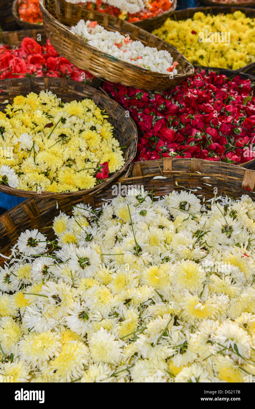 Mums and Roses for Sale in India Stock Photo - Alamy