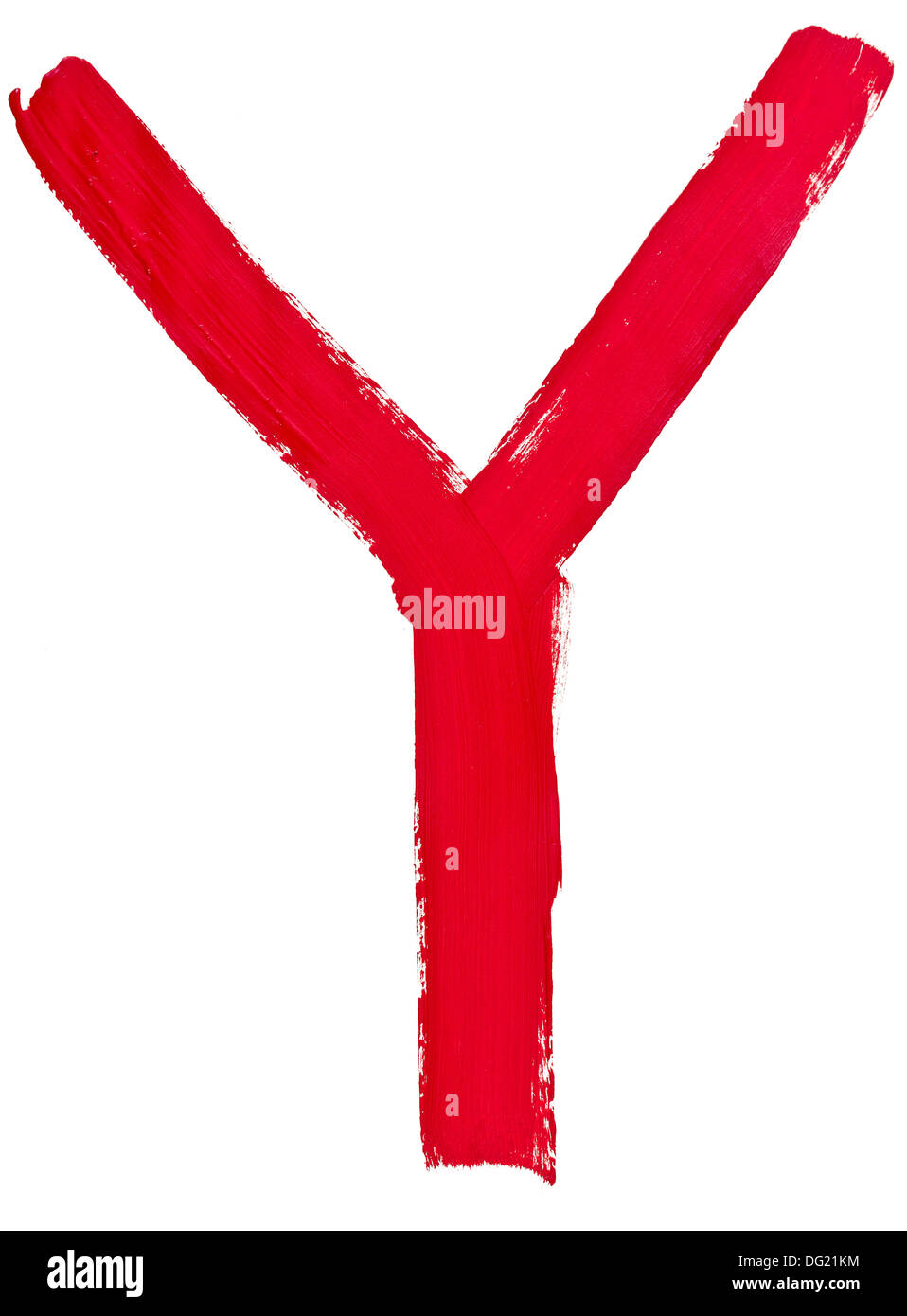 Letter Photography Y