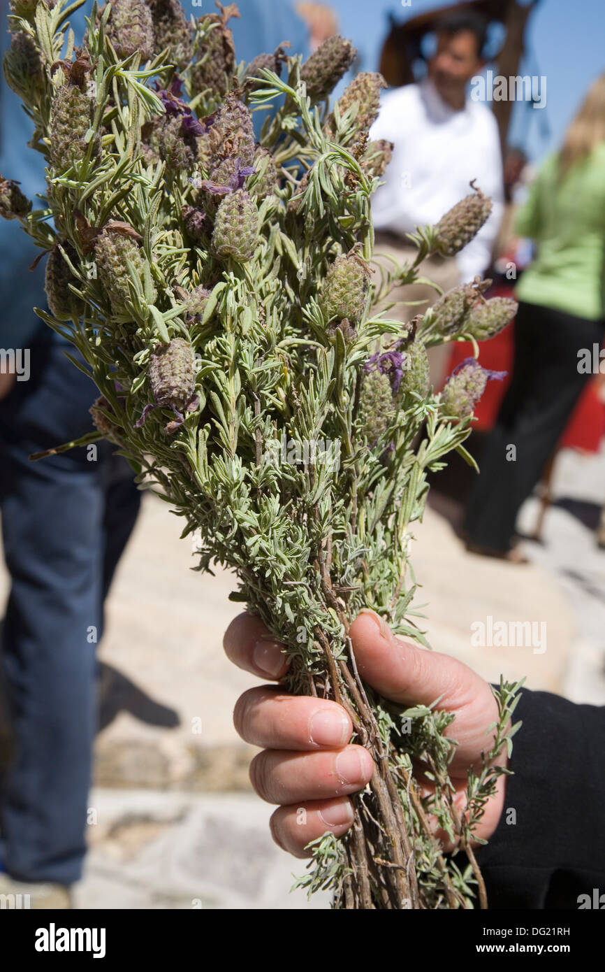 Myrrh Flower