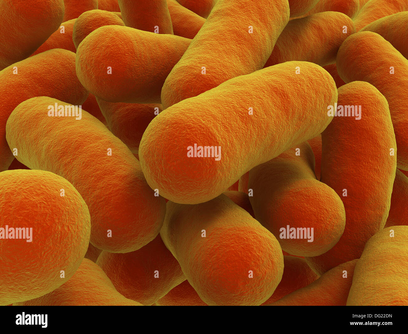 Tetanus bacillus hi-res stock photography and images - Alamy