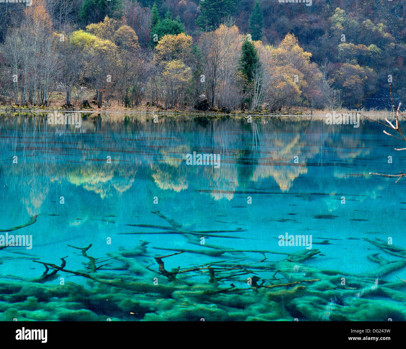 Jiuzhaigou five color pond sichuan hi-res stock photography and images ...