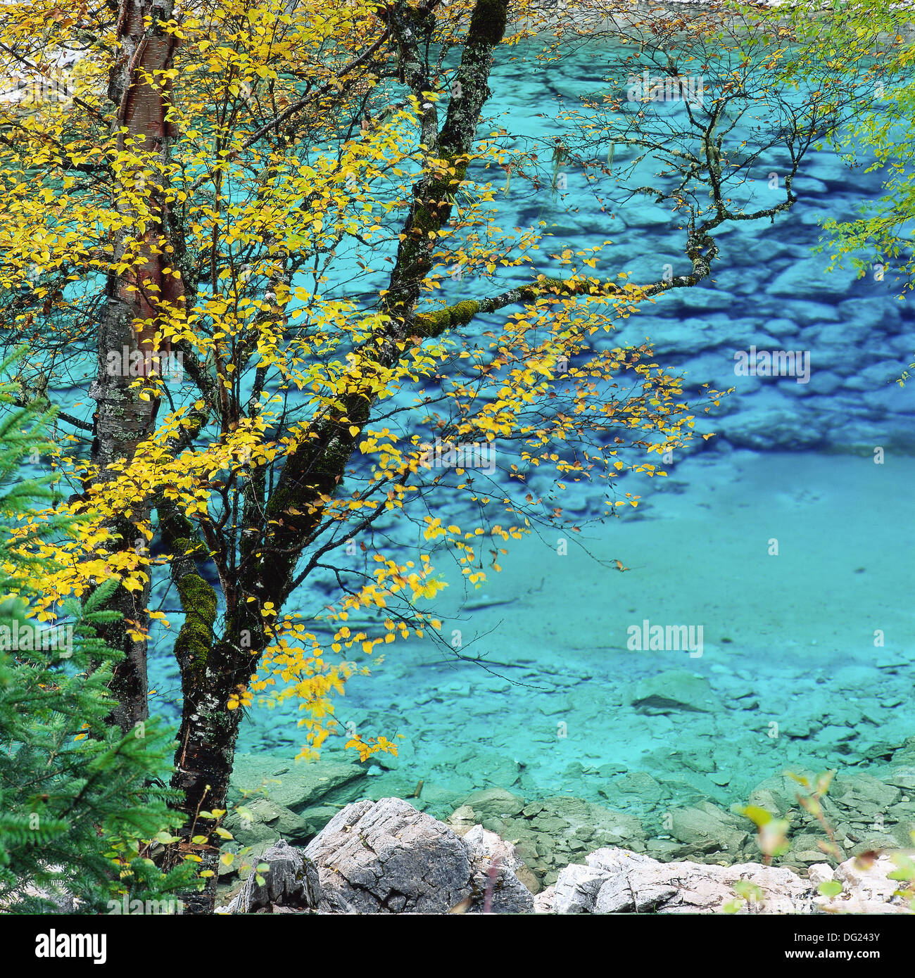 Jiuzhaigou five color pond sichuan hi-res stock photography and images ...