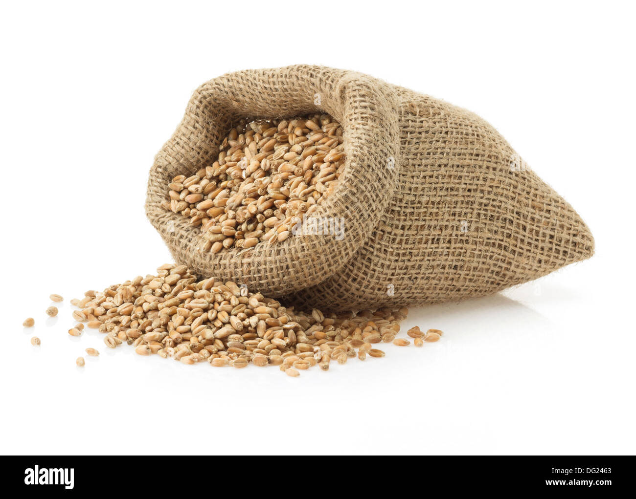 wheat grain isolated on white background Stock Photo - Alamy