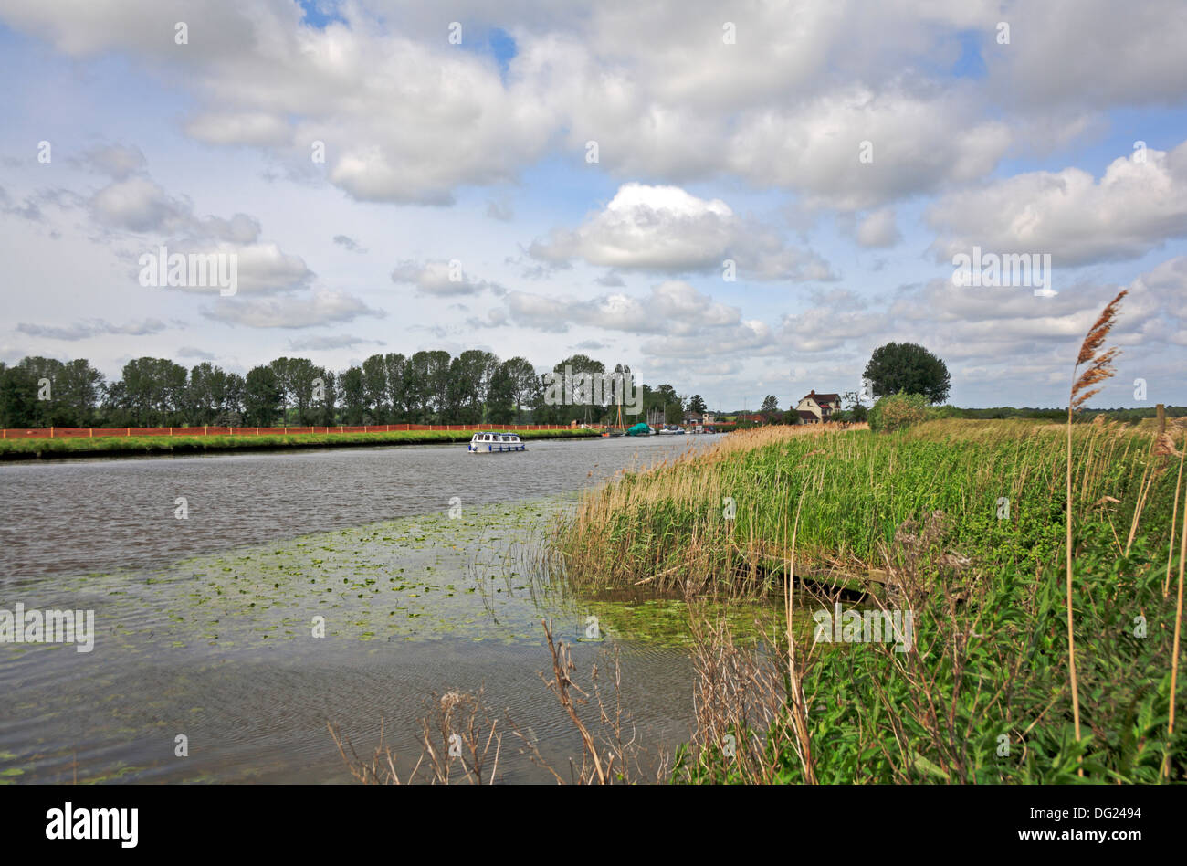 A view of the River Yare on the Norfolk Broads at Buckenham Ferry ...