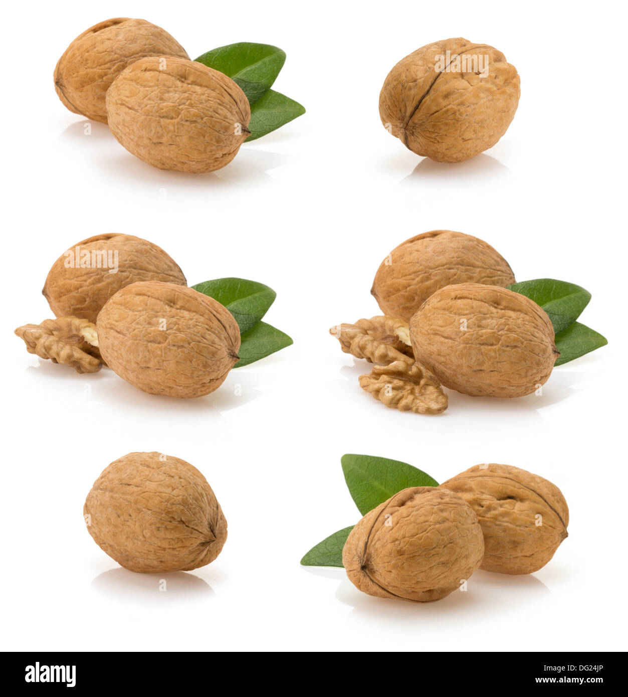 walnuts isolated on white background Stock Photo - Alamy