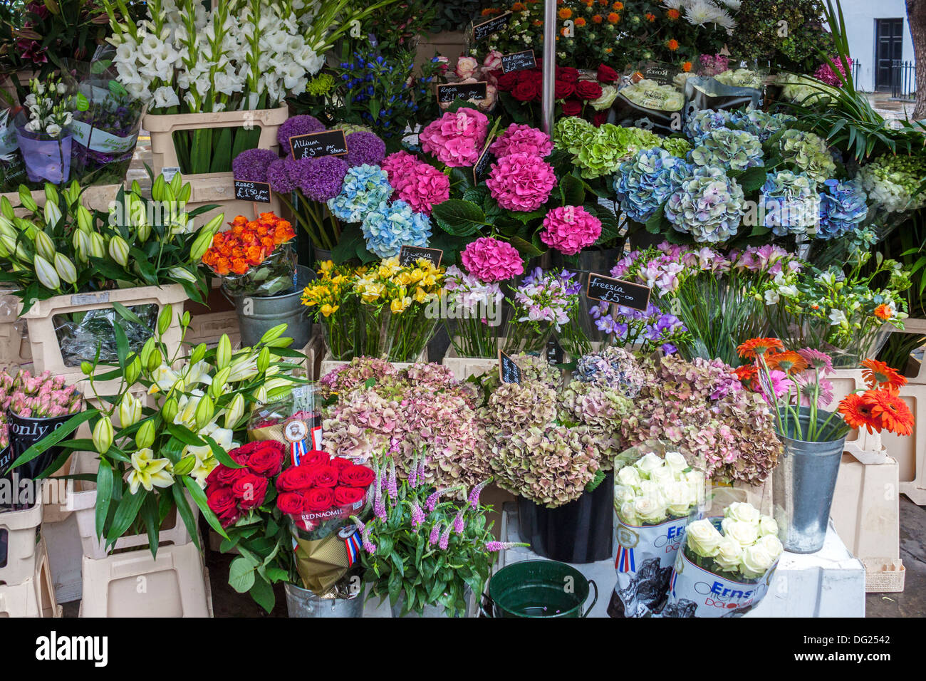 Florist's flowers stall display hi-res stock photography and images - Alamy