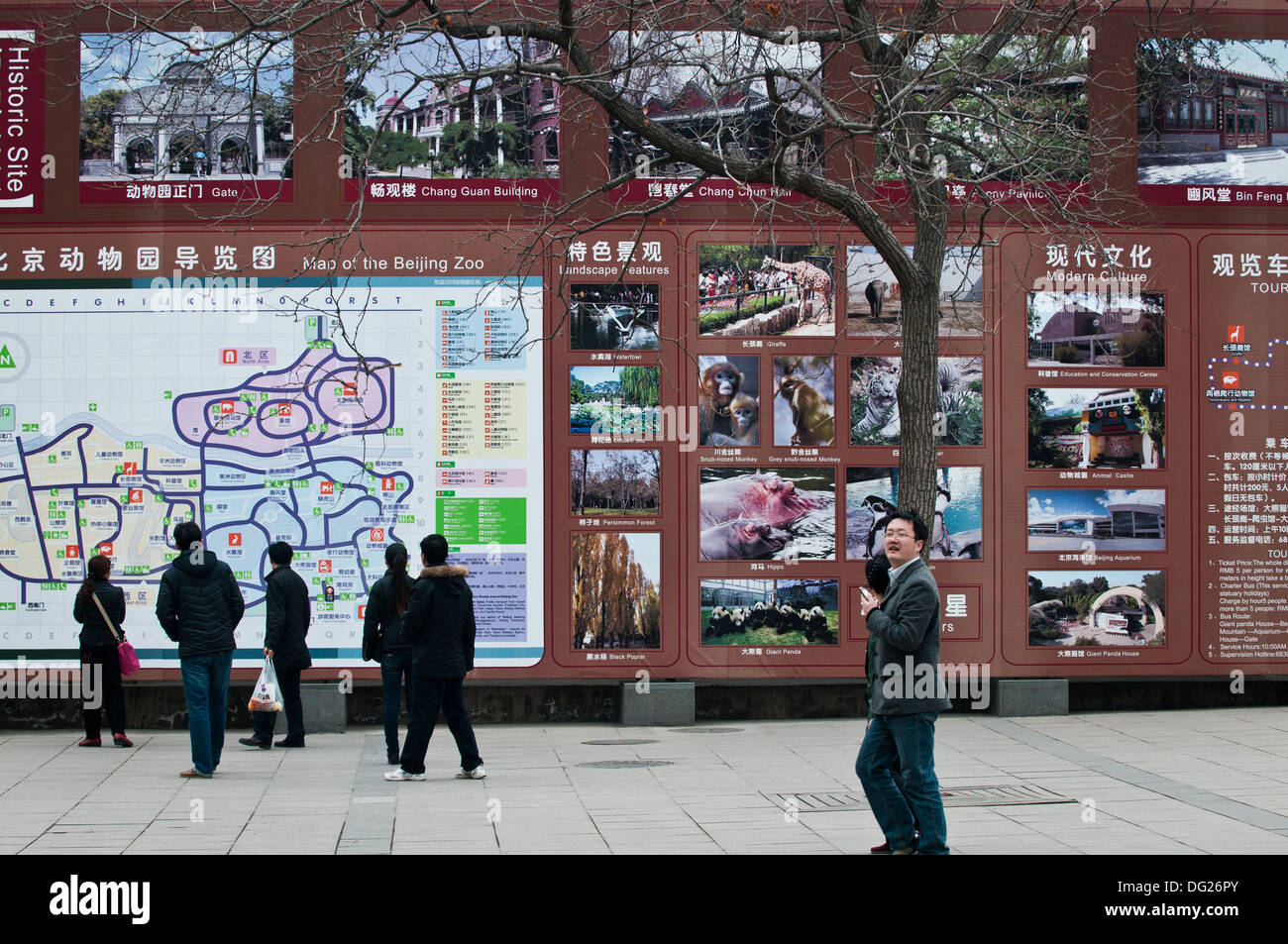 large board map in Beijing Zoo, Xicheng District, Beijing, China Stock ...