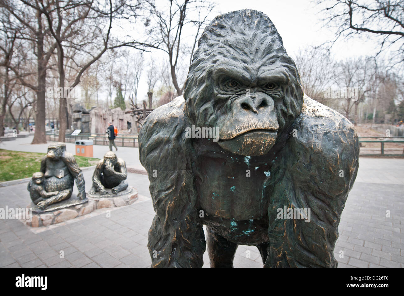 Gorilla beijing zoo china hi-res stock photography and images - Alamy