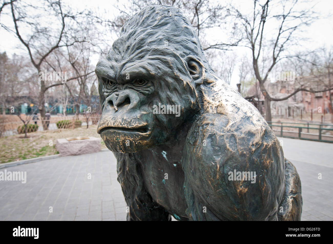 Gorilla statue hi-res stock photography and images - Alamy