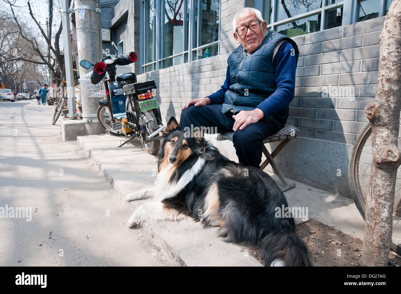 Old Chinese man with his Rough Collie dog in hutong area, Beijing ...