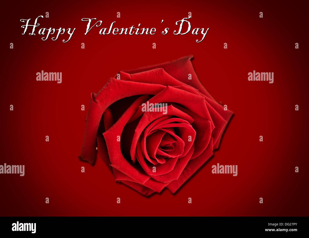 Red roses Valentine background Stock Photo - Alamy