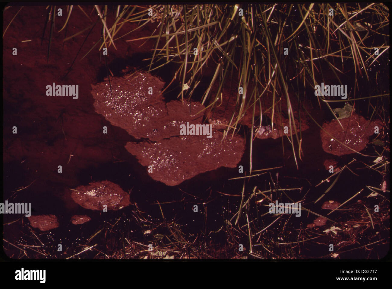 Sludge deposits in the androscoggin river hi-res stock photography and ...