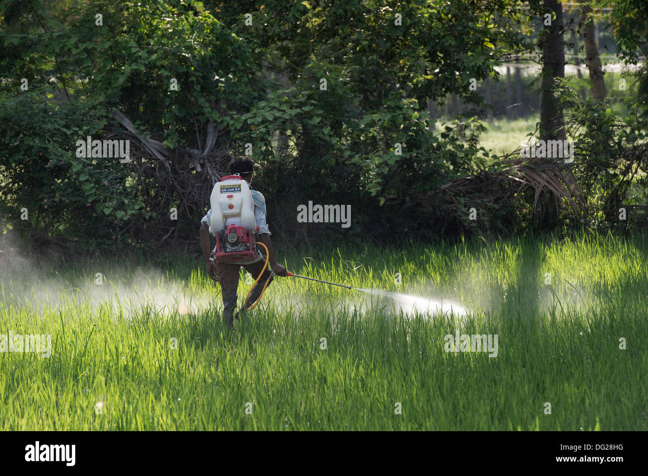 Farmer spraying pesticide hi-res stock photography and images - Alamy