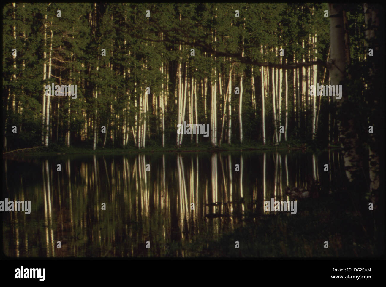 UNCOMPAHGRE RIVER VALLEY, SOUTHWEST COLORADO. (FROM THE DOCUMERICA-1 ...