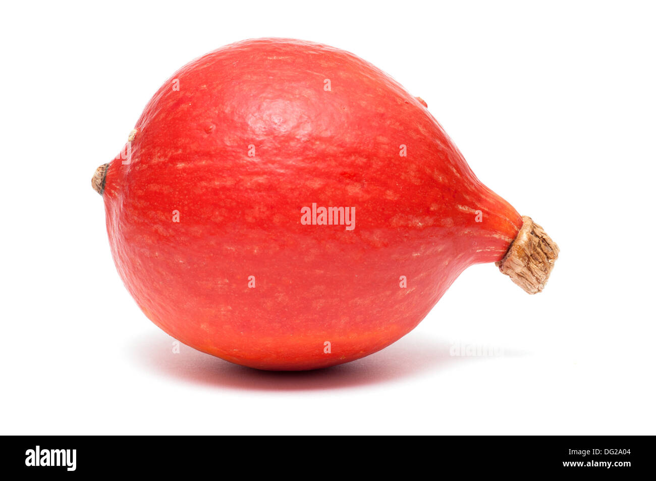 Red kuri squash on white background Stock Photo - Alamy