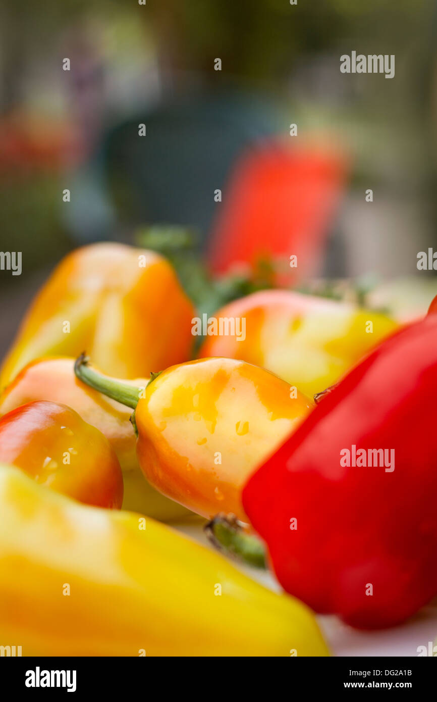 Organic peppers hi-res stock photography and images - Alamy