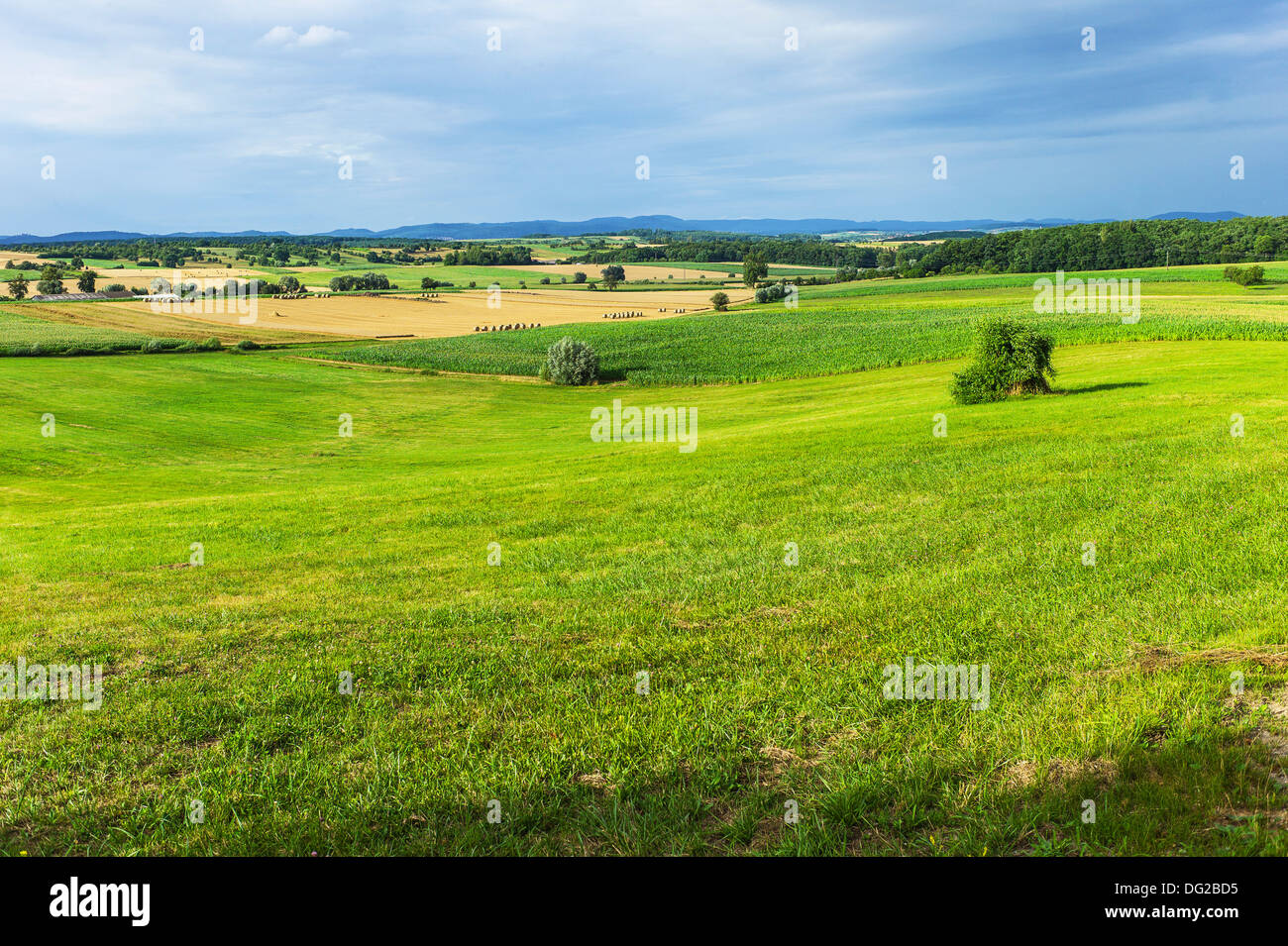 Fields North Alsace France Stock Photo - Alamy