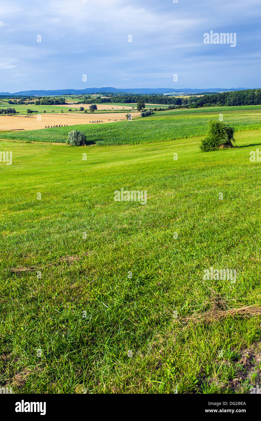 Fields North Alsace France Stock Photo - Alamy