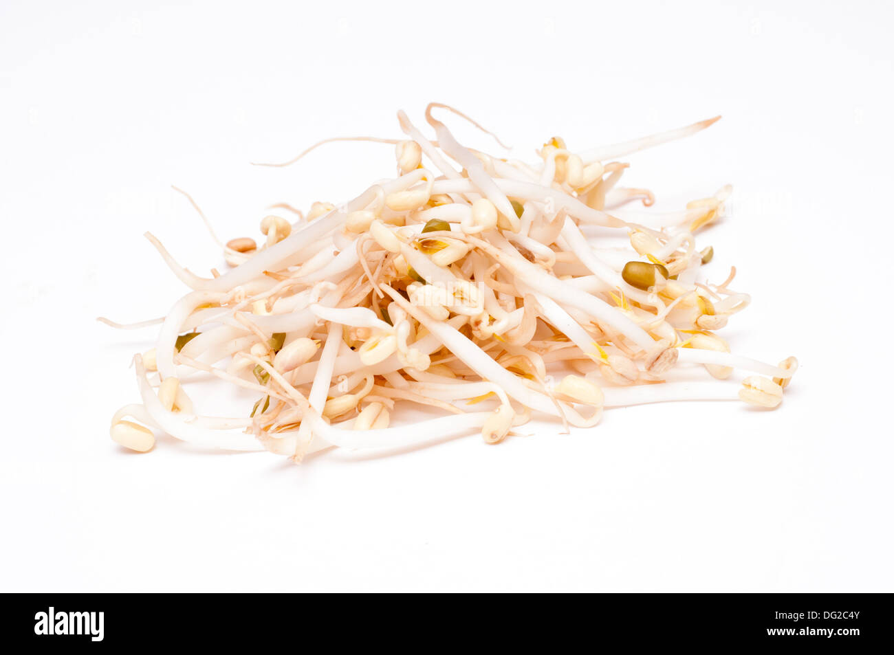 Soja bean sprouts on a white background Stock Photo - Alamy