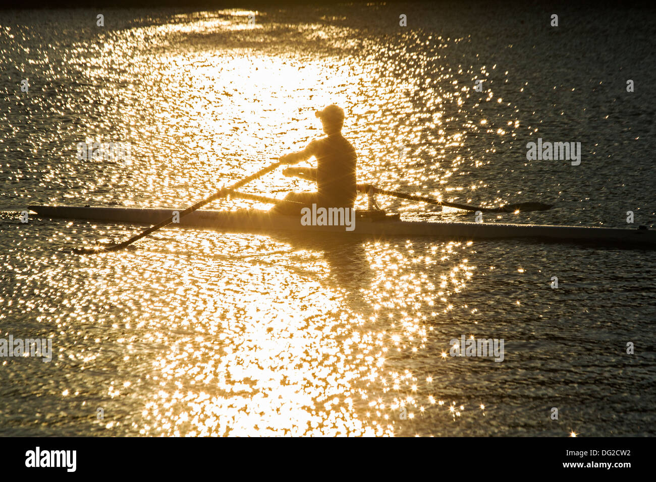 Golden single hi-res stock photography and images - Alamy