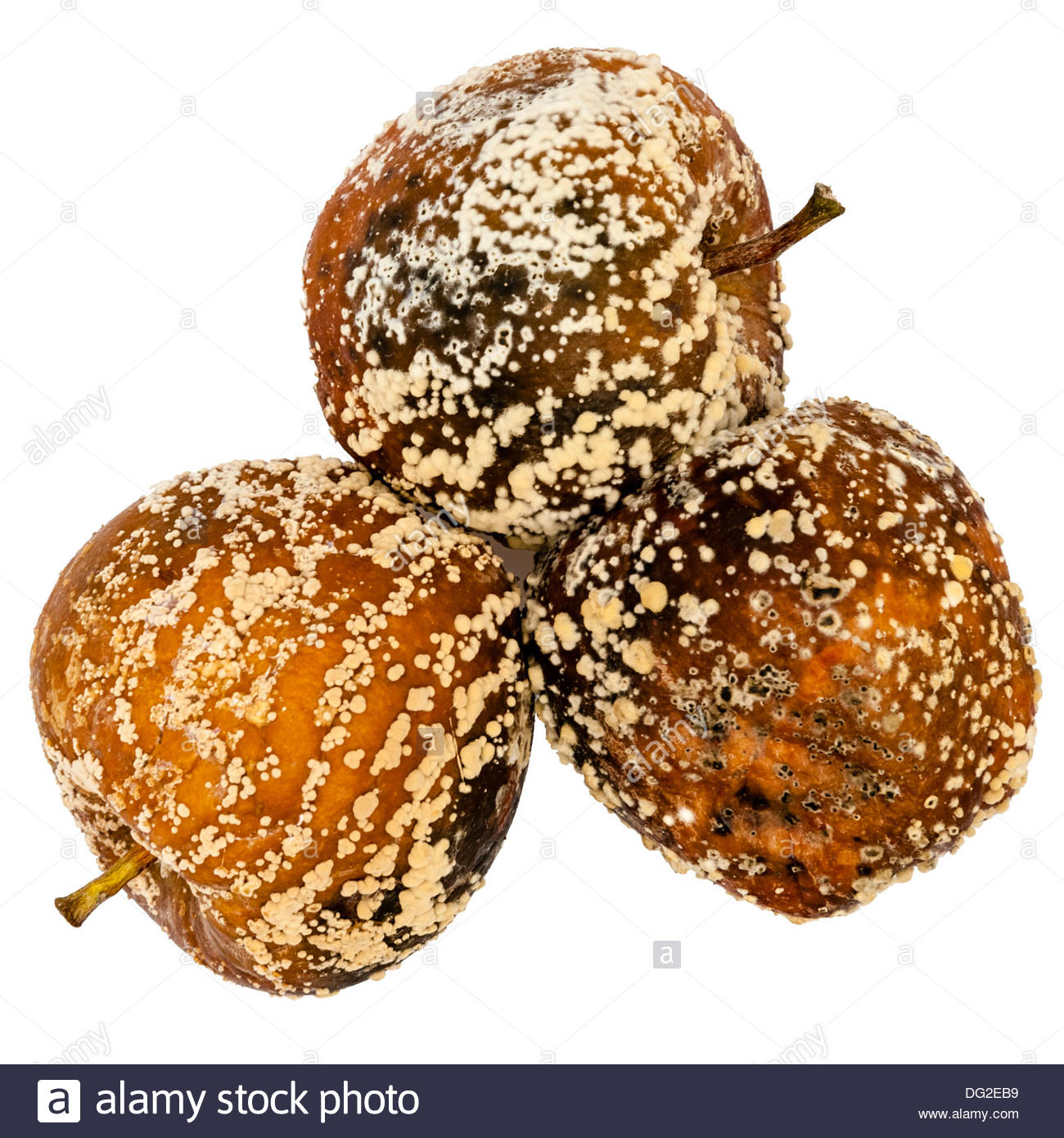 Spoiled Fruit Stock Photos & Spoiled Fruit Stock Images - Alamy