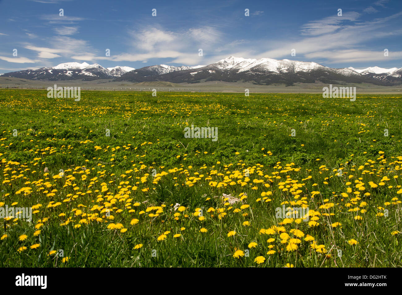 Lehmi hi-res stock photography and images - Alamy