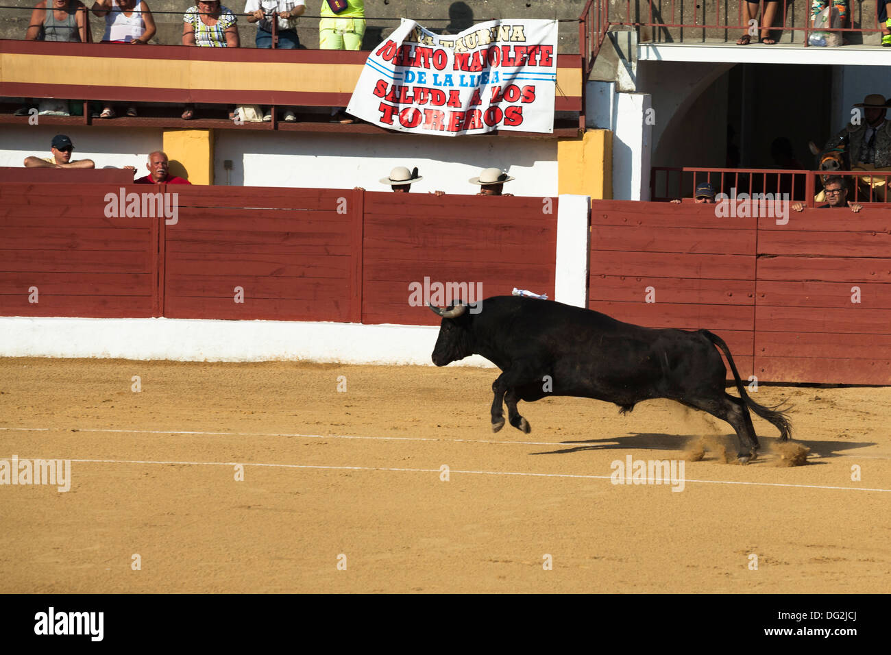 Traditional Spanish bullfighting on July 19, 2013 in La Linea de la ...