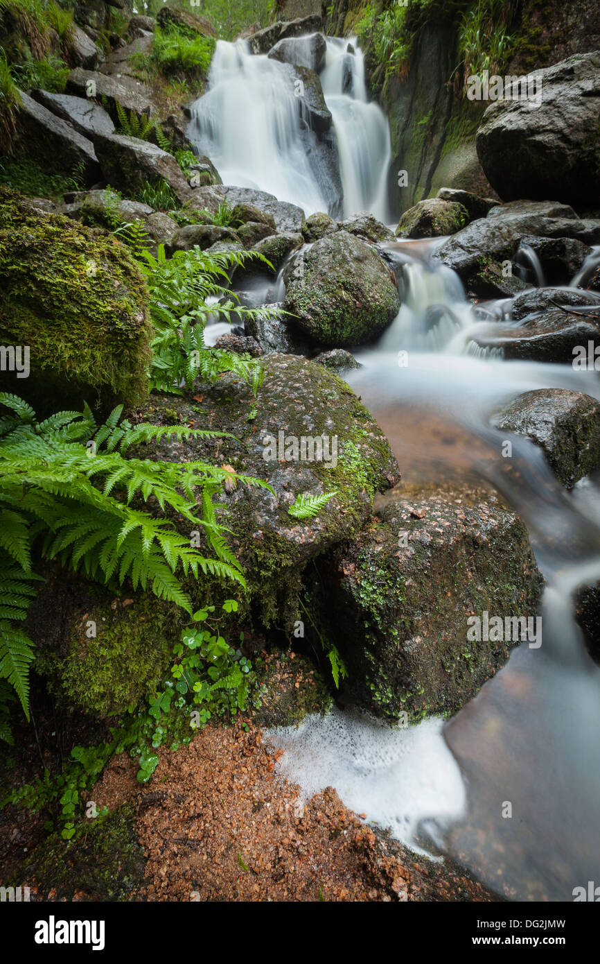 Burn O' Vat at the Muir of Dinnet in Aberdeenshire, Scotland. a Gorge ...