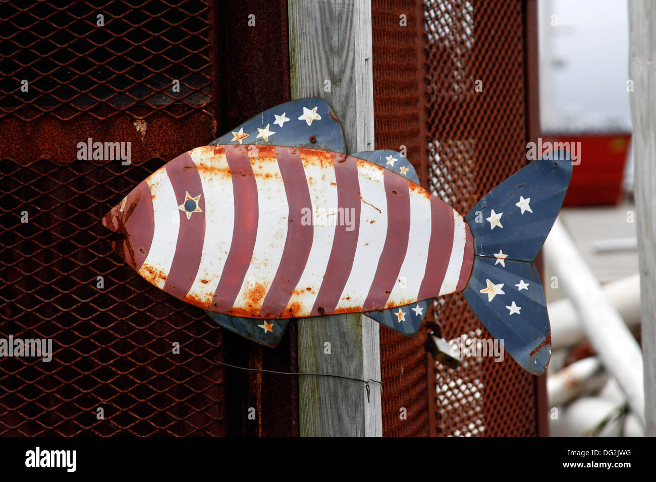 American flag fish hi-res stock photography and images - Alamy