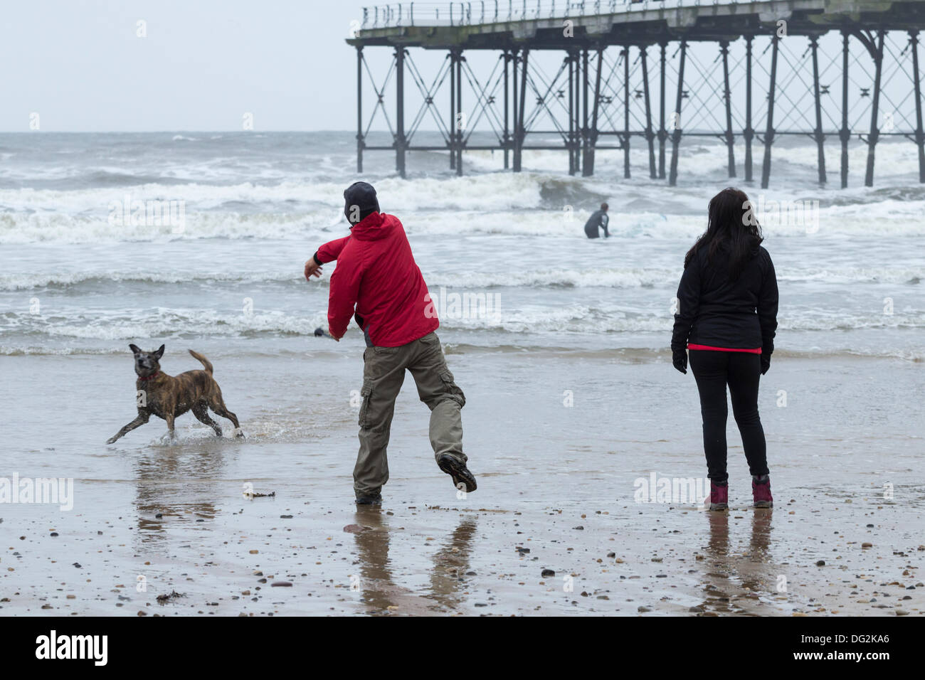 Dog walker/walkers walking on beach. UK Stock Photo - Alamy