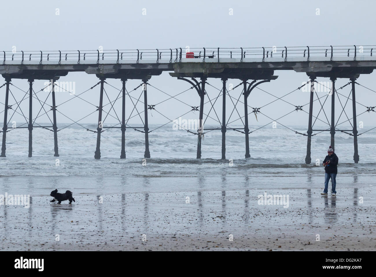Dog walker/walkers walking on beach. UK Stock Photo - Alamy