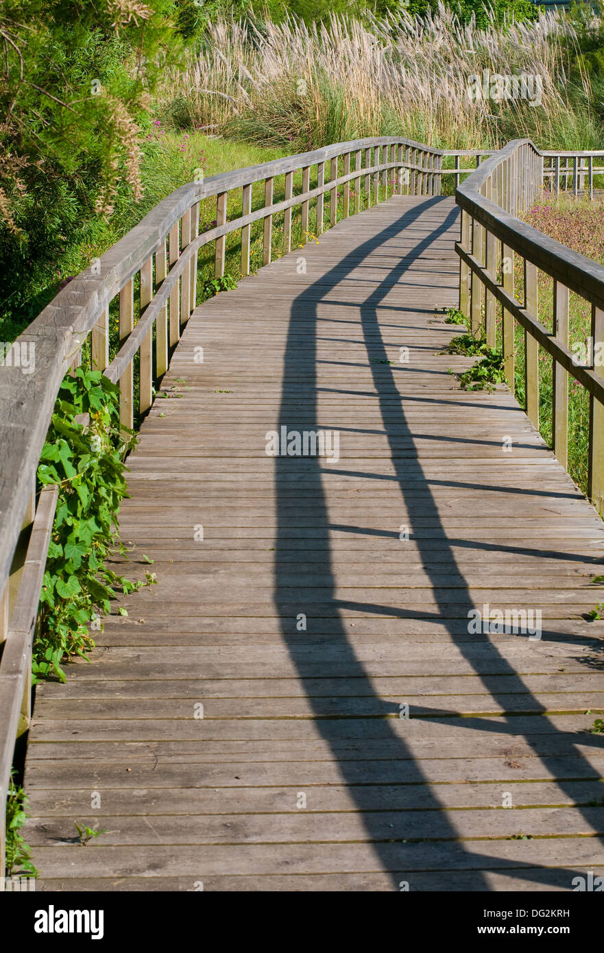 Aquatic nature trail hi-res stock photography and images - Alamy