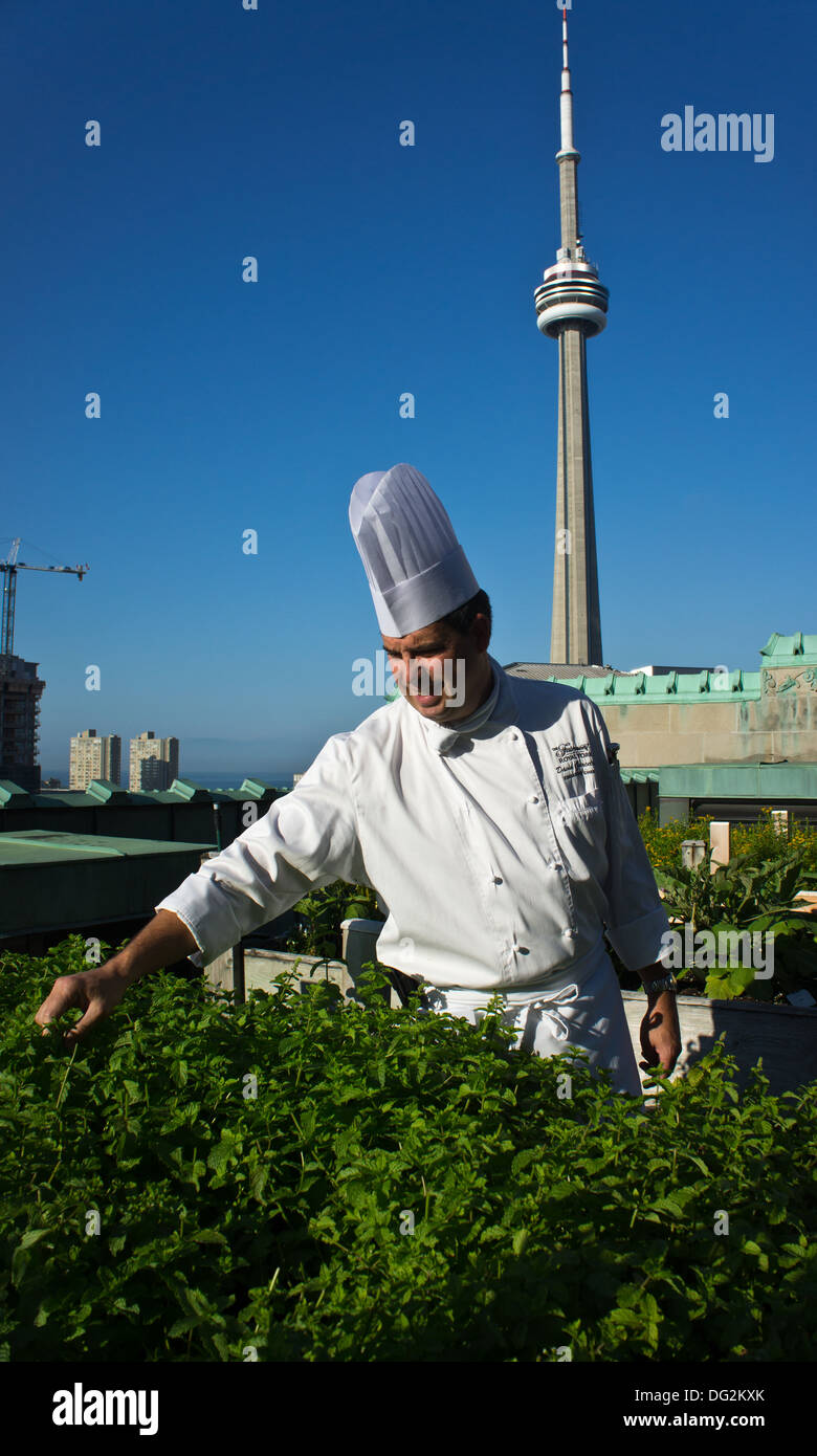 Beekeeping hotel roofs hi-res stock photography and images - Alamy