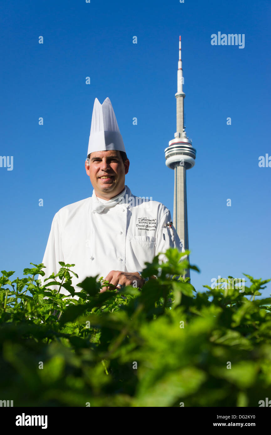 Beekeeping hotel roofs hi-res stock photography and images - Alamy