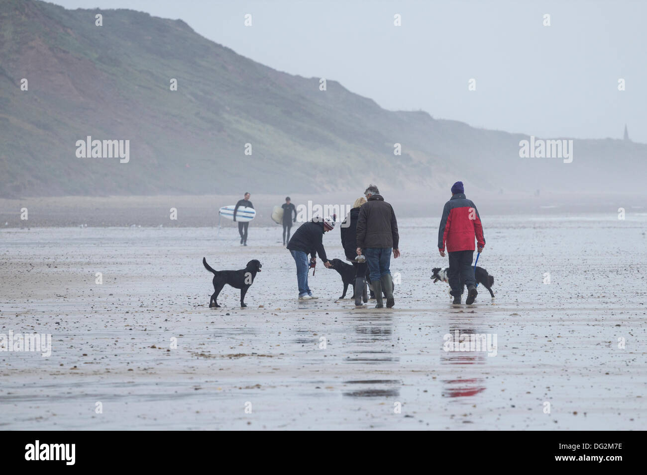 Dog walker/walkers walking on beach. UK Stock Photo - Alamy