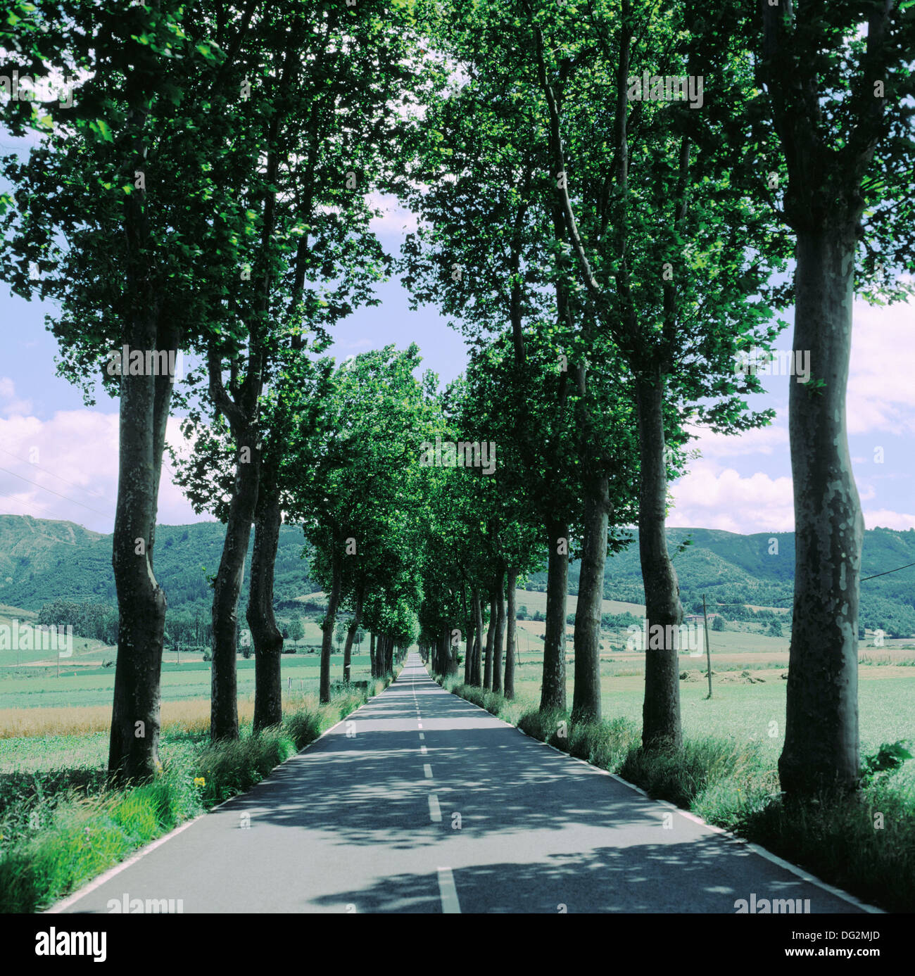 Orduna hi-res stock photography and images - Alamy