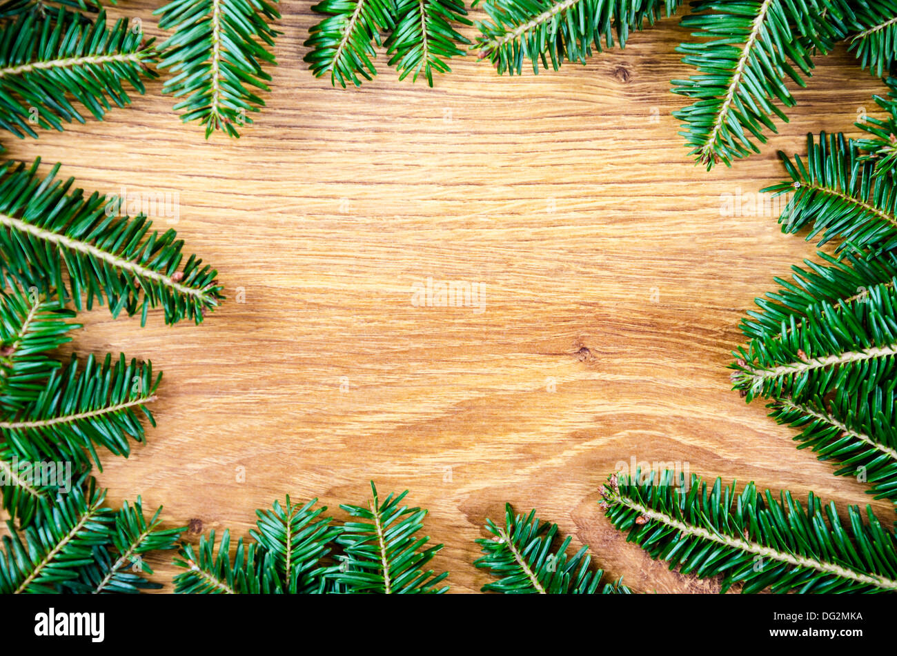 Christmas spruce frame for congratulations Stock Photo - Alamy