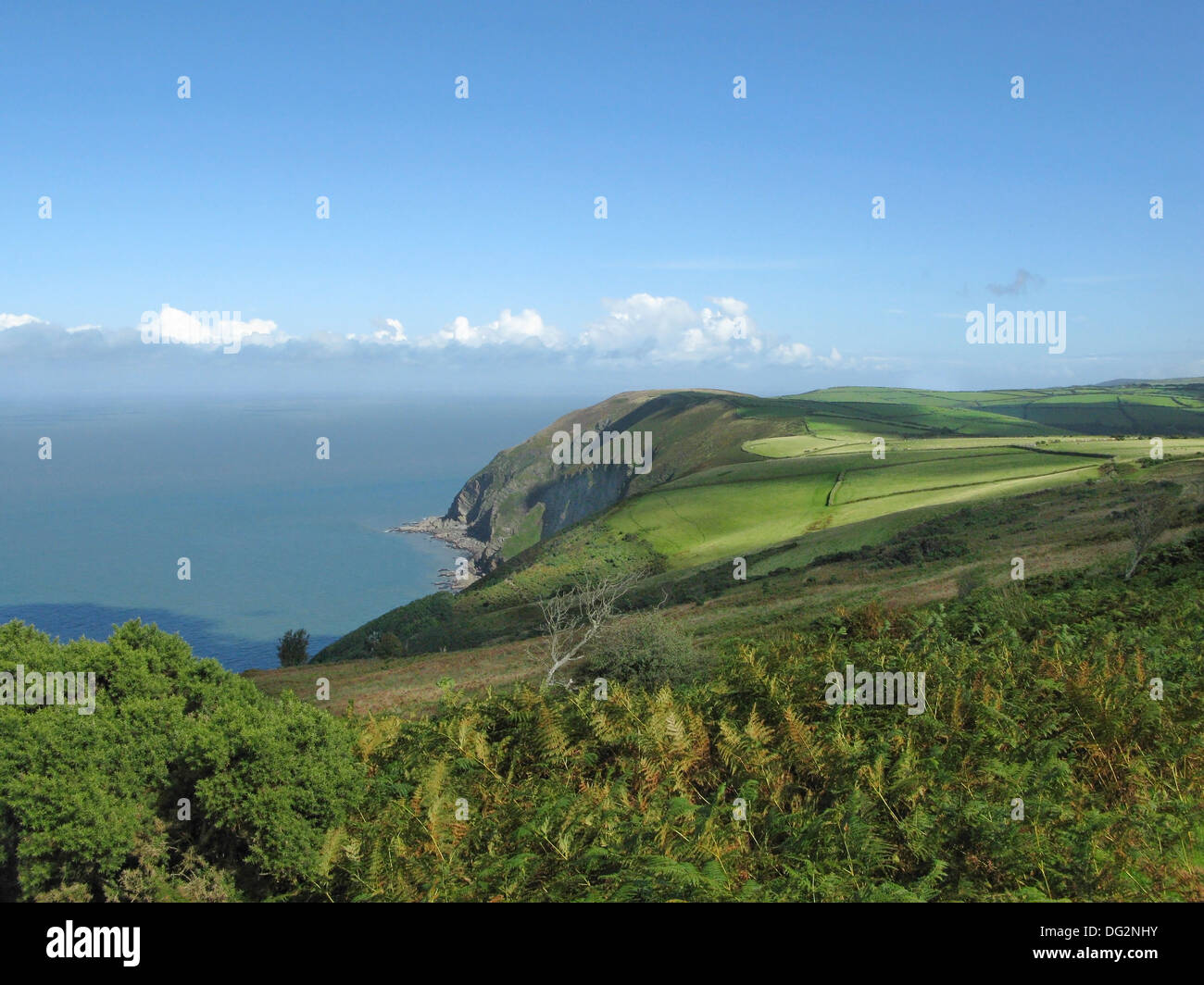 Coast rocky water sea rugged devon cliffs hi-res stock photography and ...