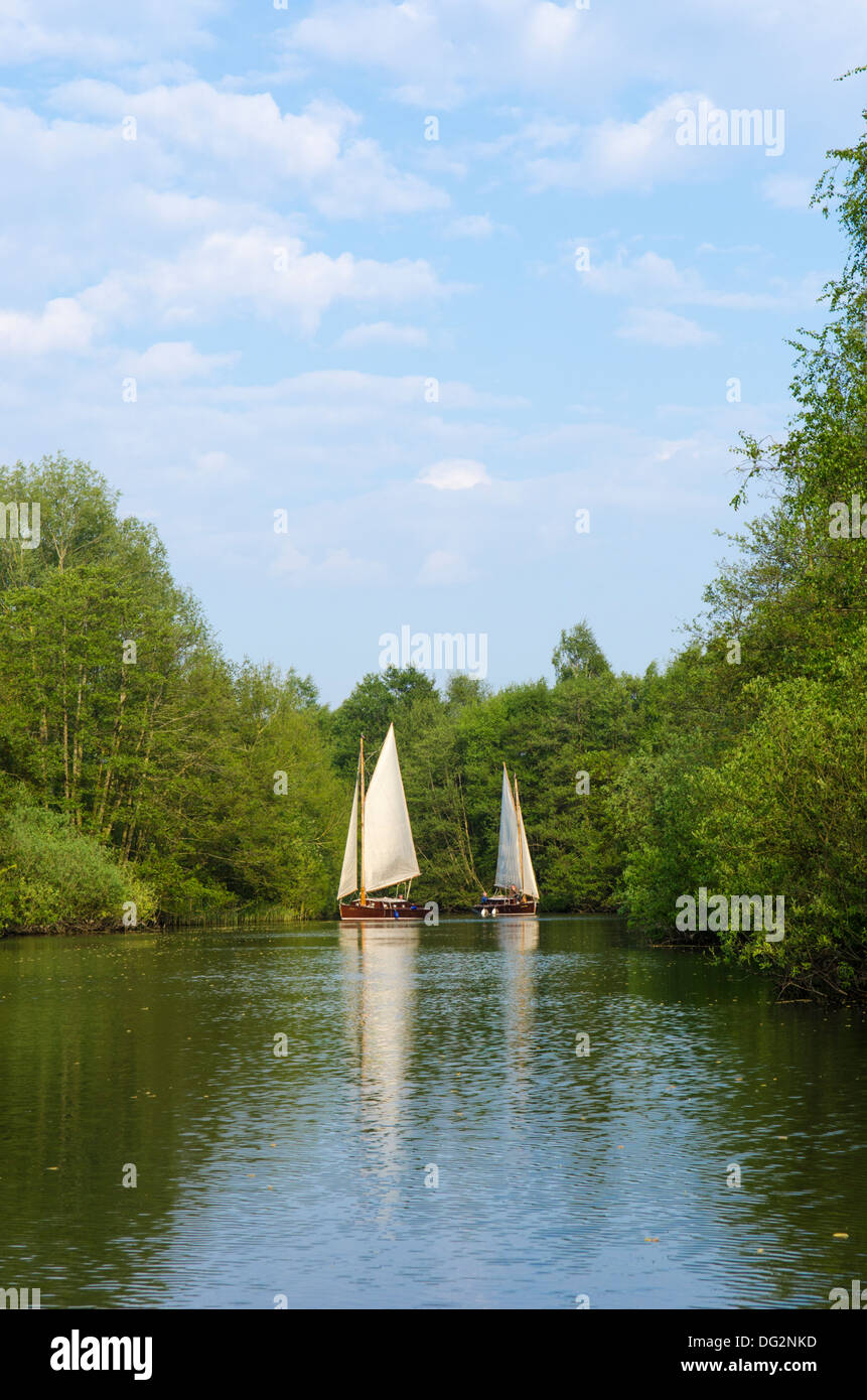 Sailing in a yacht up the River Bure on the Norfolk Broads between ...