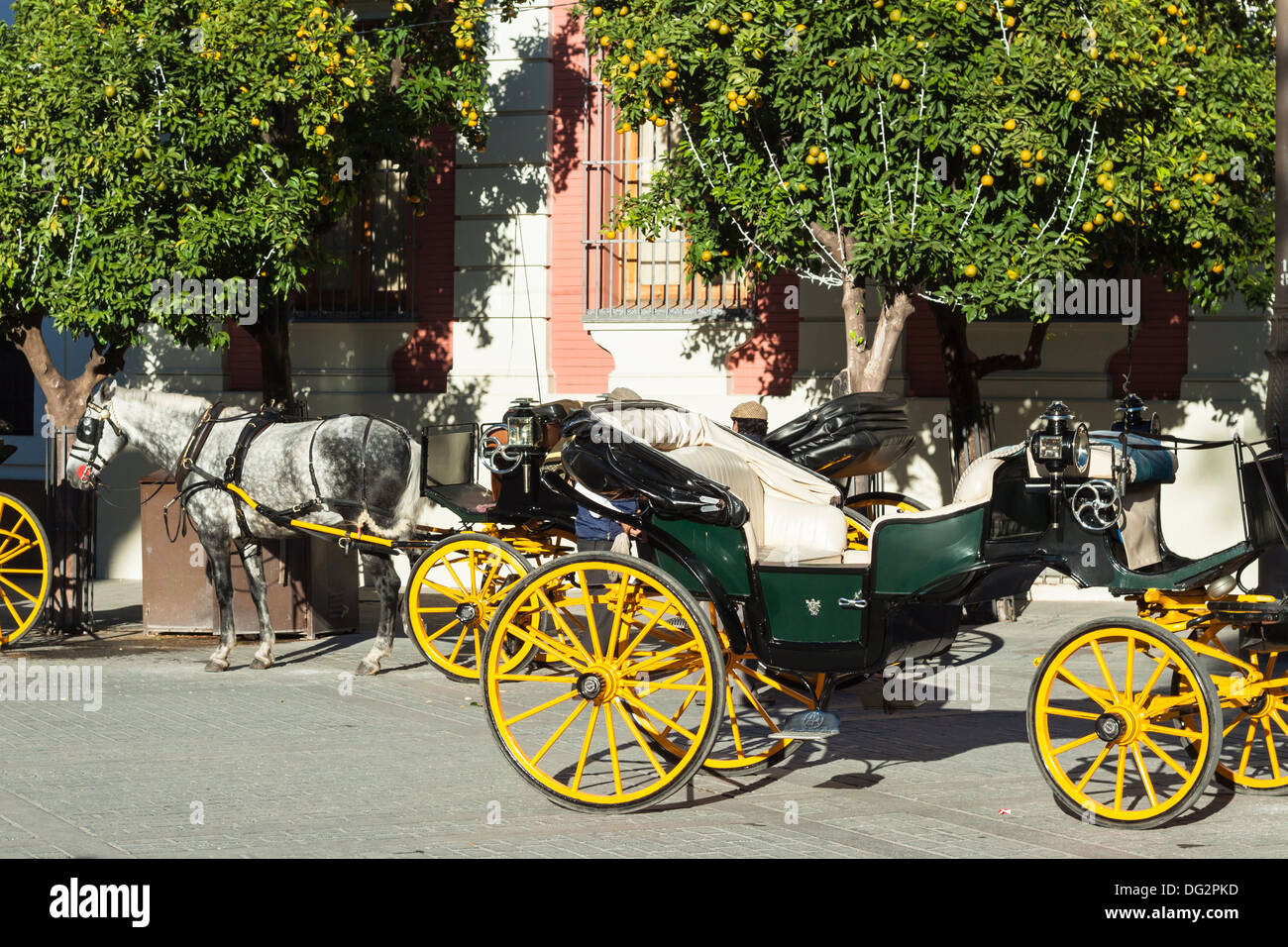 Andalusian carriage hi-res stock photography and images - Alamy