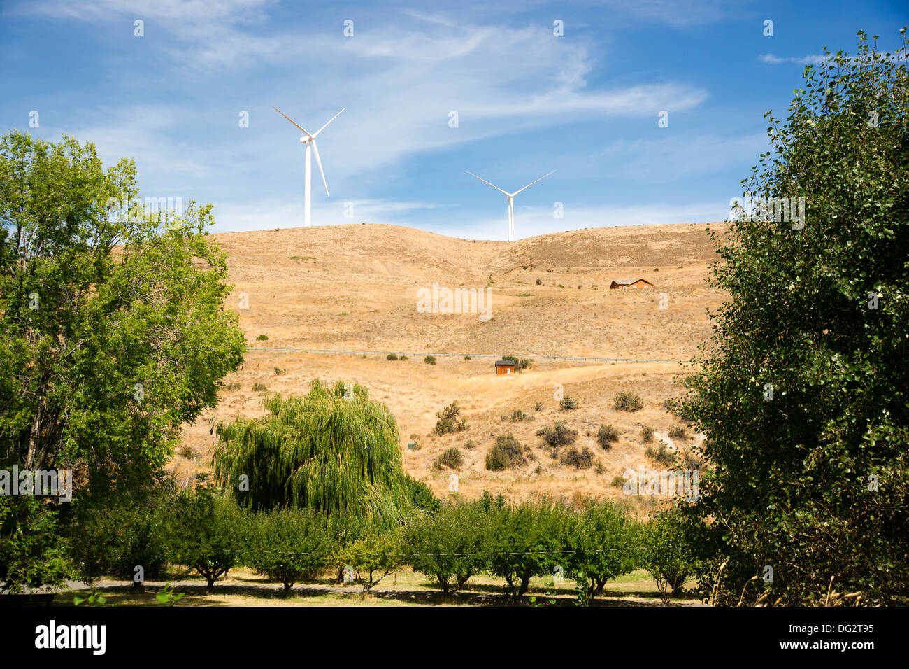 Two wind turbines stand on the landscape Stock Photo - Alamy
