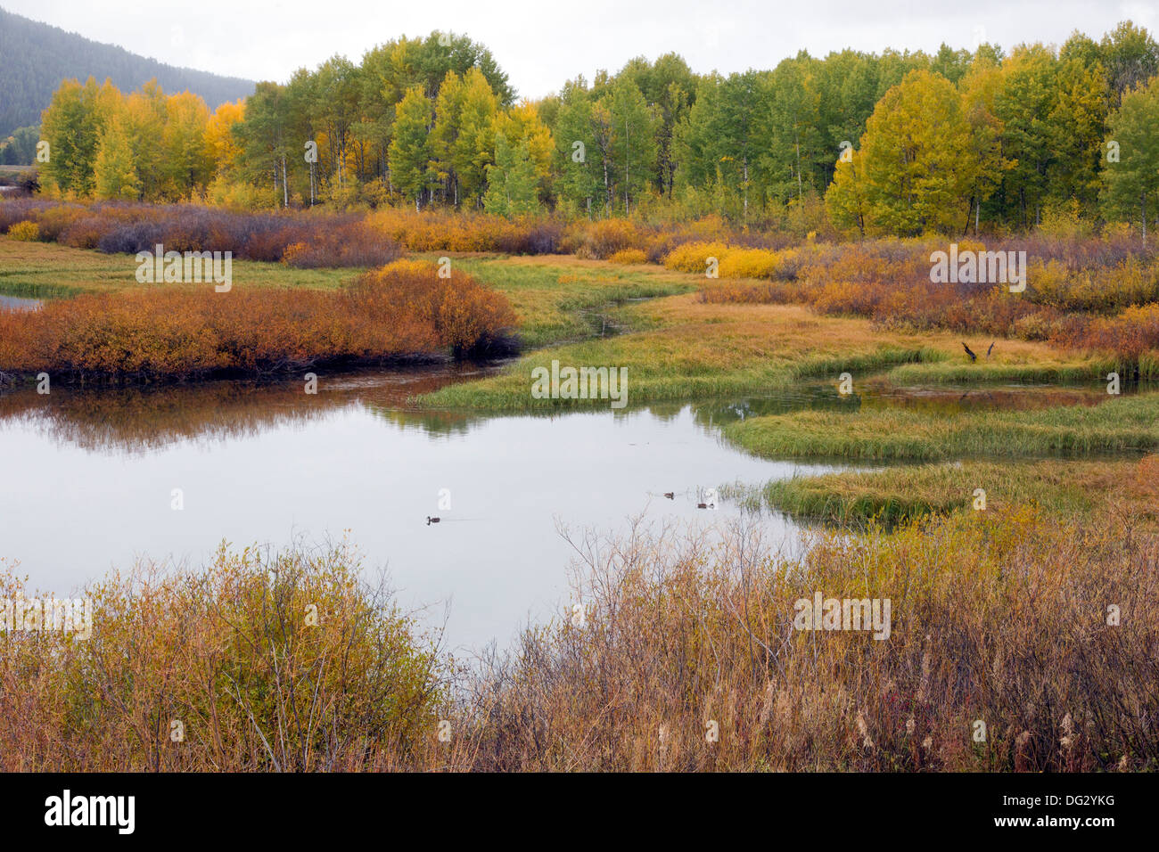 Oxbow pond hi-res stock photography and images - Alamy