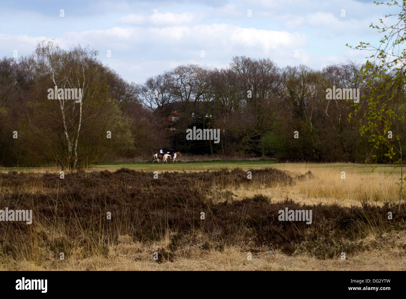 English spring countryside hi-res stock photography and images - Alamy
