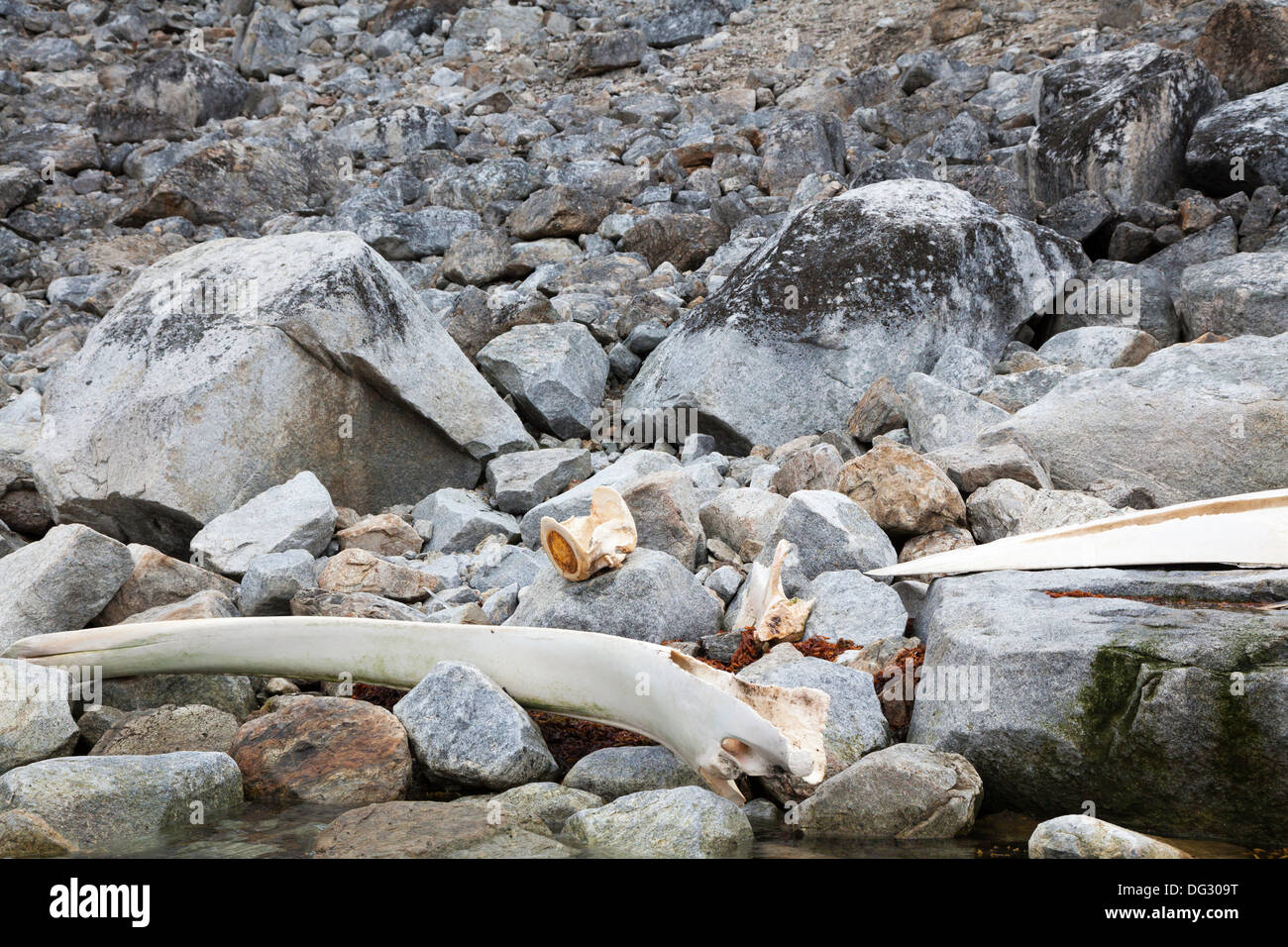 Skeleton rocks hi-res stock photography and images - Alamy