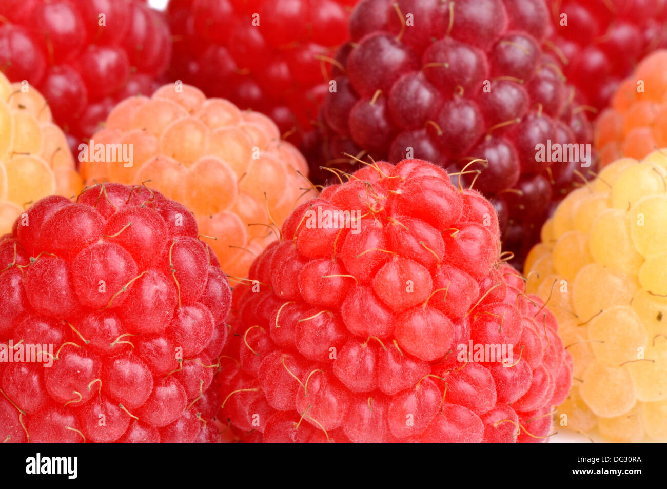 Closeup delicious different food hi-res stock photography and images ...