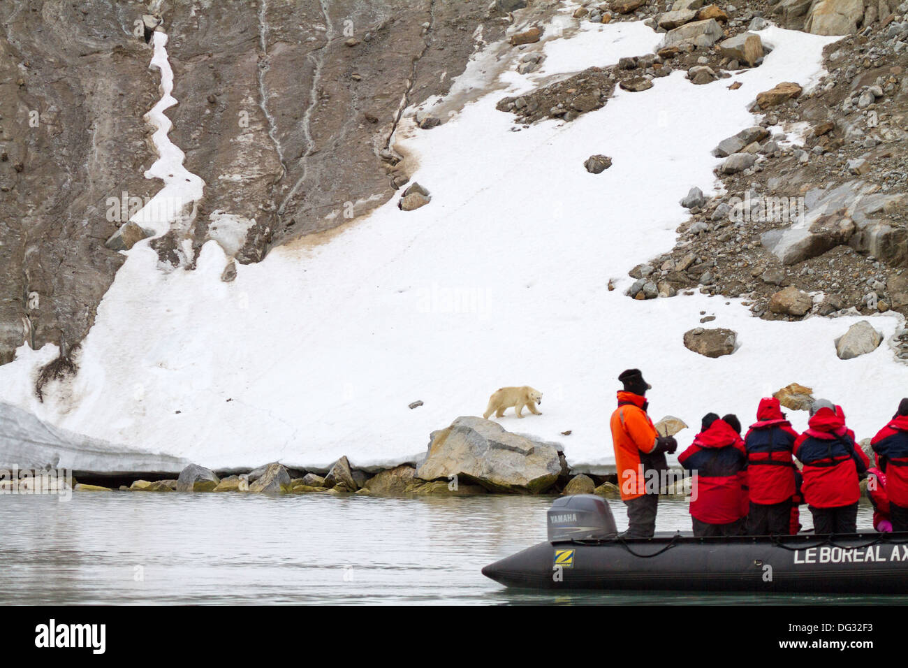 Polar bear expedition hi-res stock photography and images - Alamy