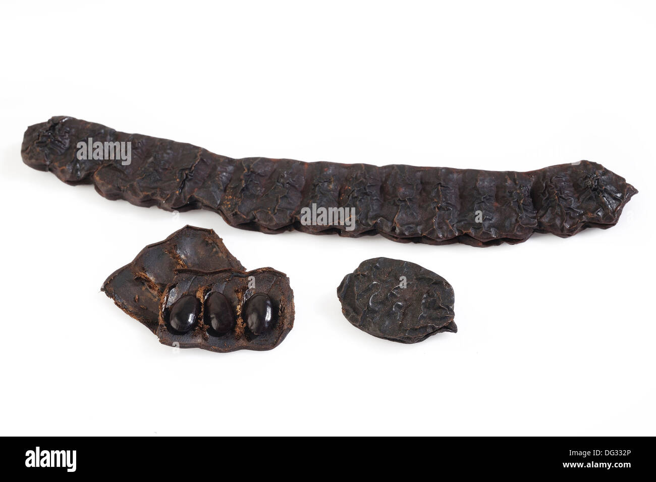 Concinna hi-res stock photography and images - Alamy