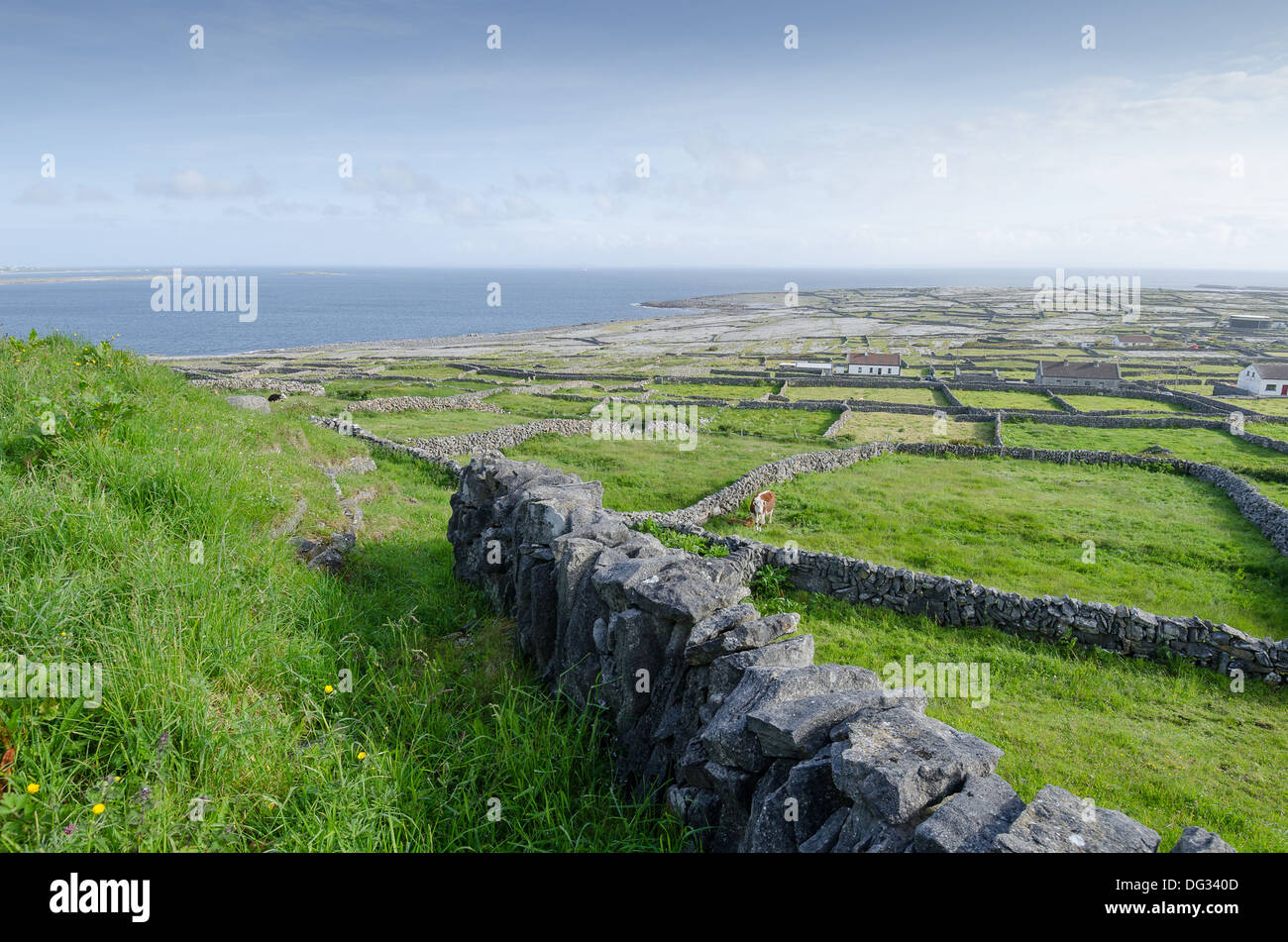 inis meain, the aran islands, ireland Stock Photo - Alamy