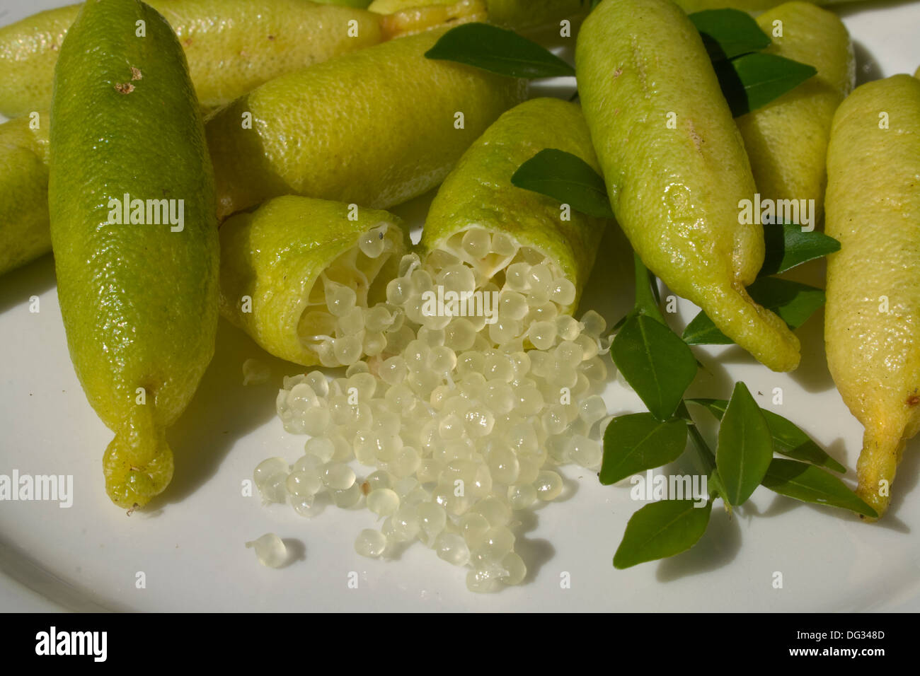 Finger lime hi-res stock photography and images - Alamy
